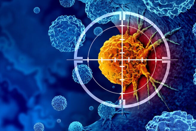 What Is Systems Medicine? | Master's Degree in Systems Medicine ...